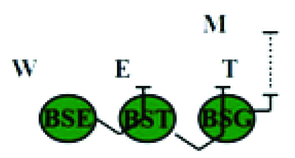 American Football Monthly - Zone Blocking, Part II – Footwork and ...