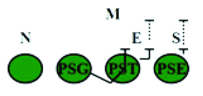 American Football Monthly - Zone Blocking, Part II – Footwork and ...