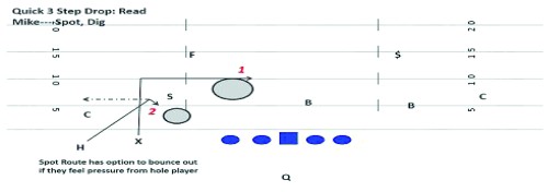American Football Monthly - Air Raid Concepts with Backside Tags